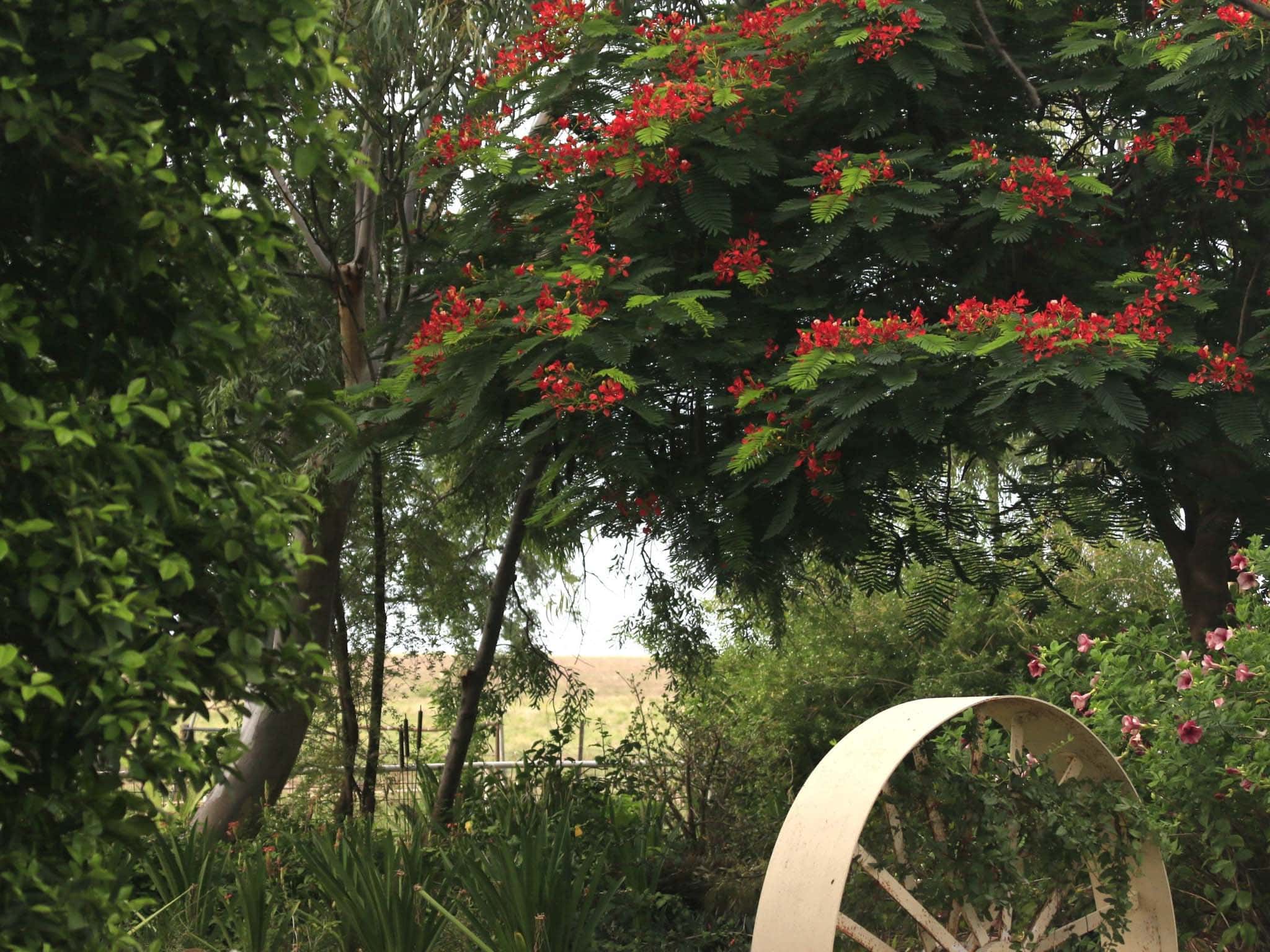 Frequently Asked Questions | Darr River Downs QLD