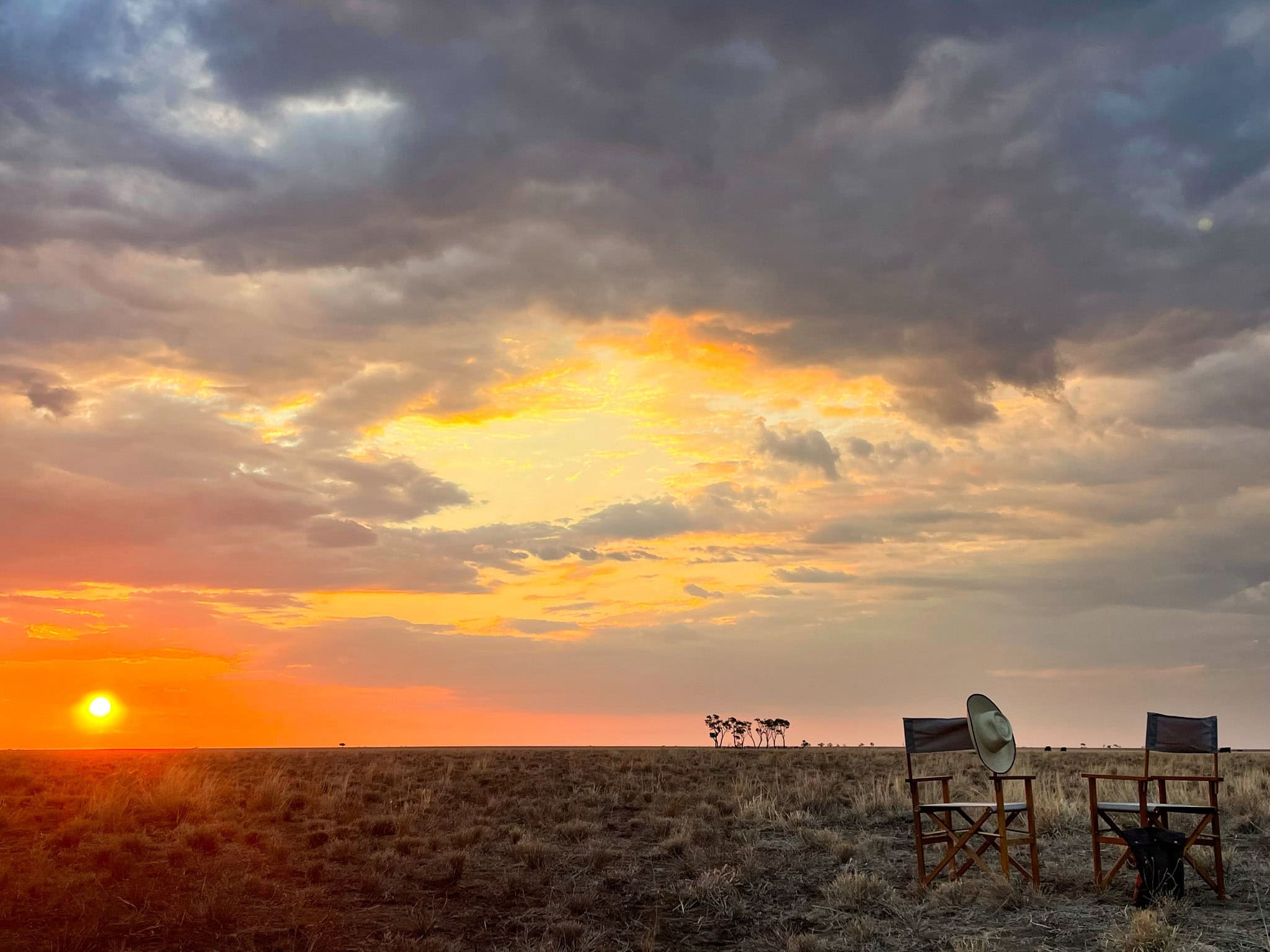 Contact Details for Darr River Downs, QLD