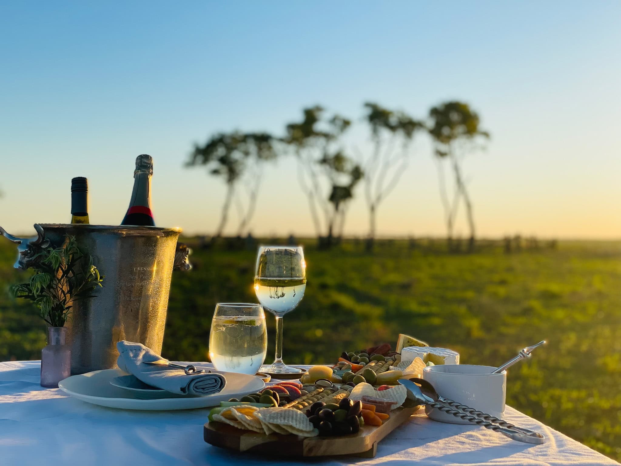 Group Tours and Experiences | Darr River Downs